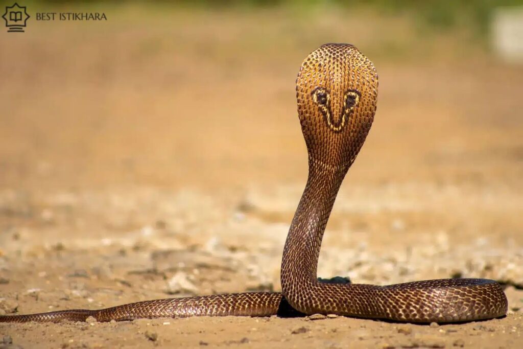 7 Meanings of Seeing a Snake in a Dream – Islamic Interpretation ...